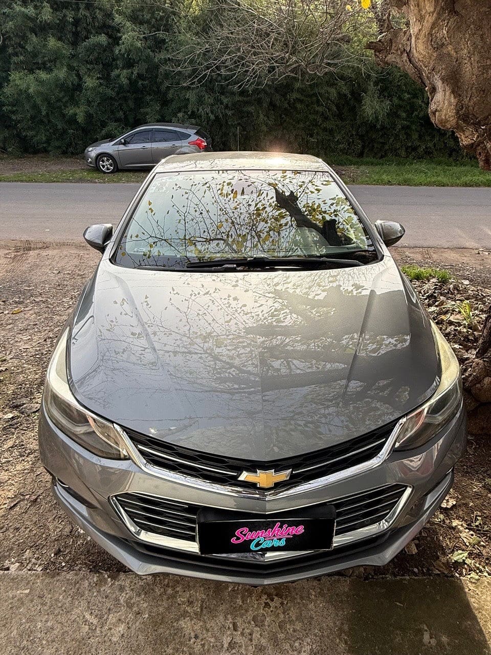 Sunshine Cars - Lavado Automotor